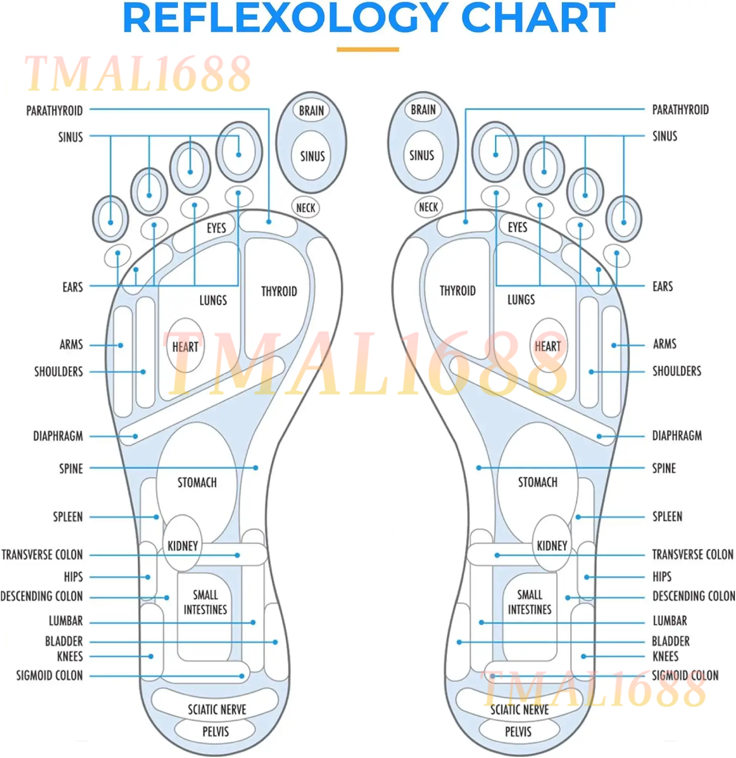 [ Preferred] Foot Sole Massage Foot Mat Adult Toe Pressure Mat Super ...