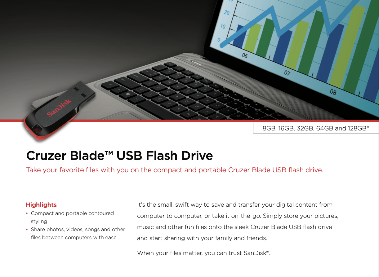Sandisk Cruzer Blade USB Thumb Drive Flash Drive Pen Drive USB 2.0 16GB ...
