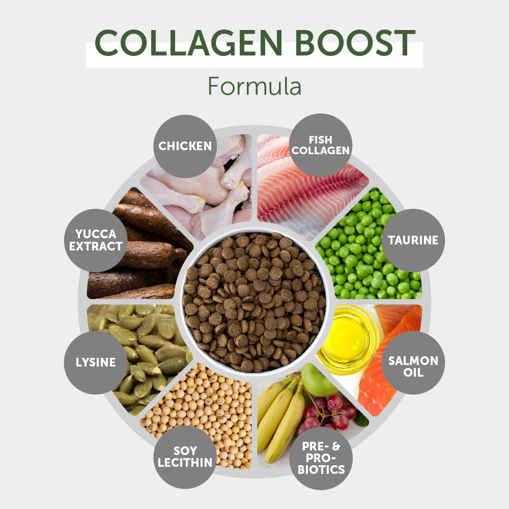 Top Ration Premium Dry Cat Food 1.8kg | Kibbles, Complete Diet, Feline ...