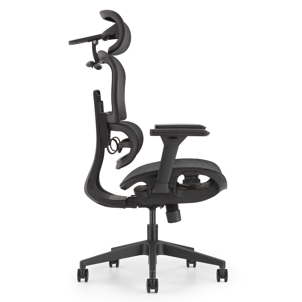 ErgoPrime Ergonomic Chair ★ Mesh Office Chair ★ Comfortable Support ...