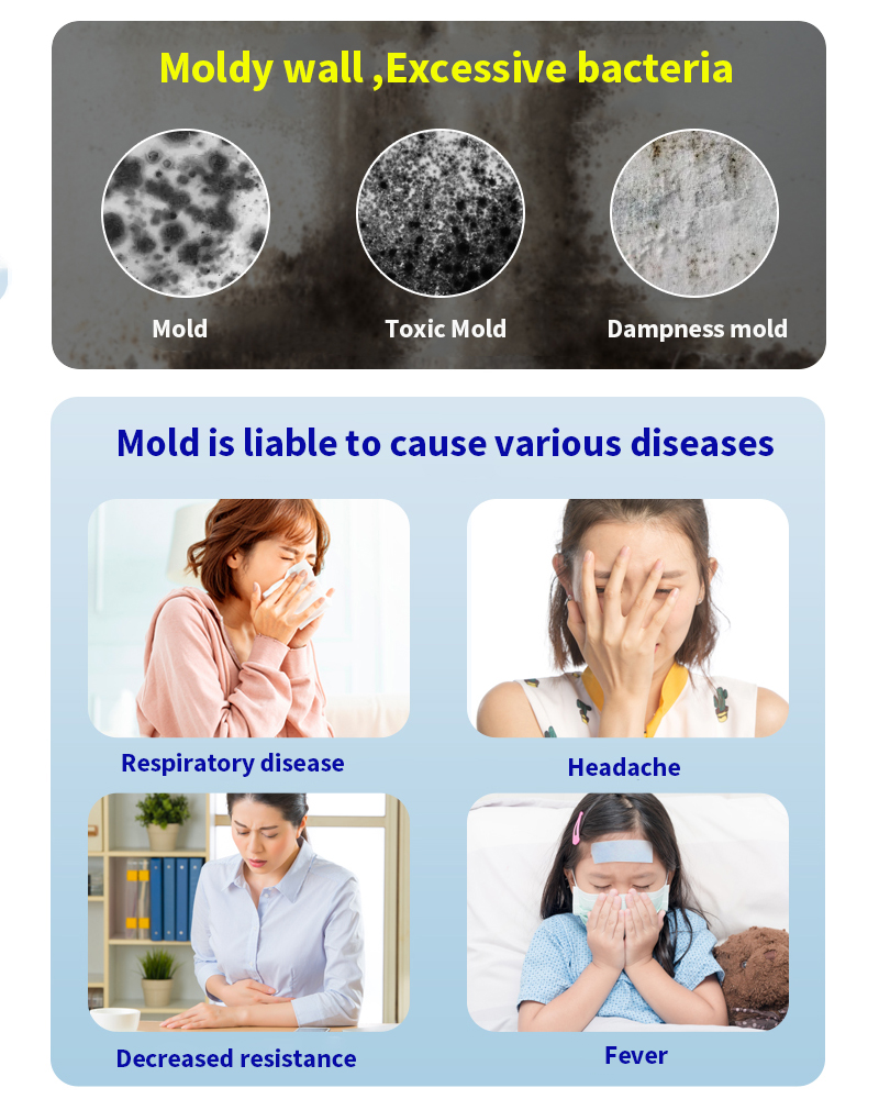 🇸🇬【SG stock】Wall Mold Wall Mildew Removal Spray Mould Stain Agent ...