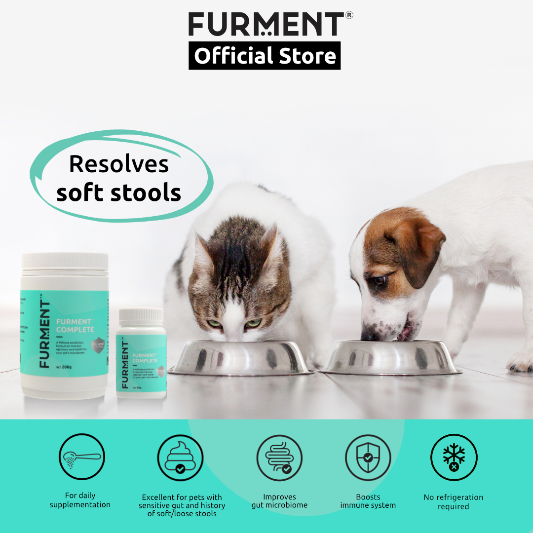 FURMENT Complete Powder I Pet Dietary Supplement I Support Healthy Gut ...