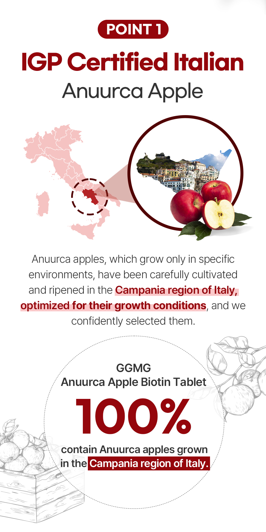 [GGMG] Annurca Apple Extract Powder Brewer's Yeast Biotin Tablets ...