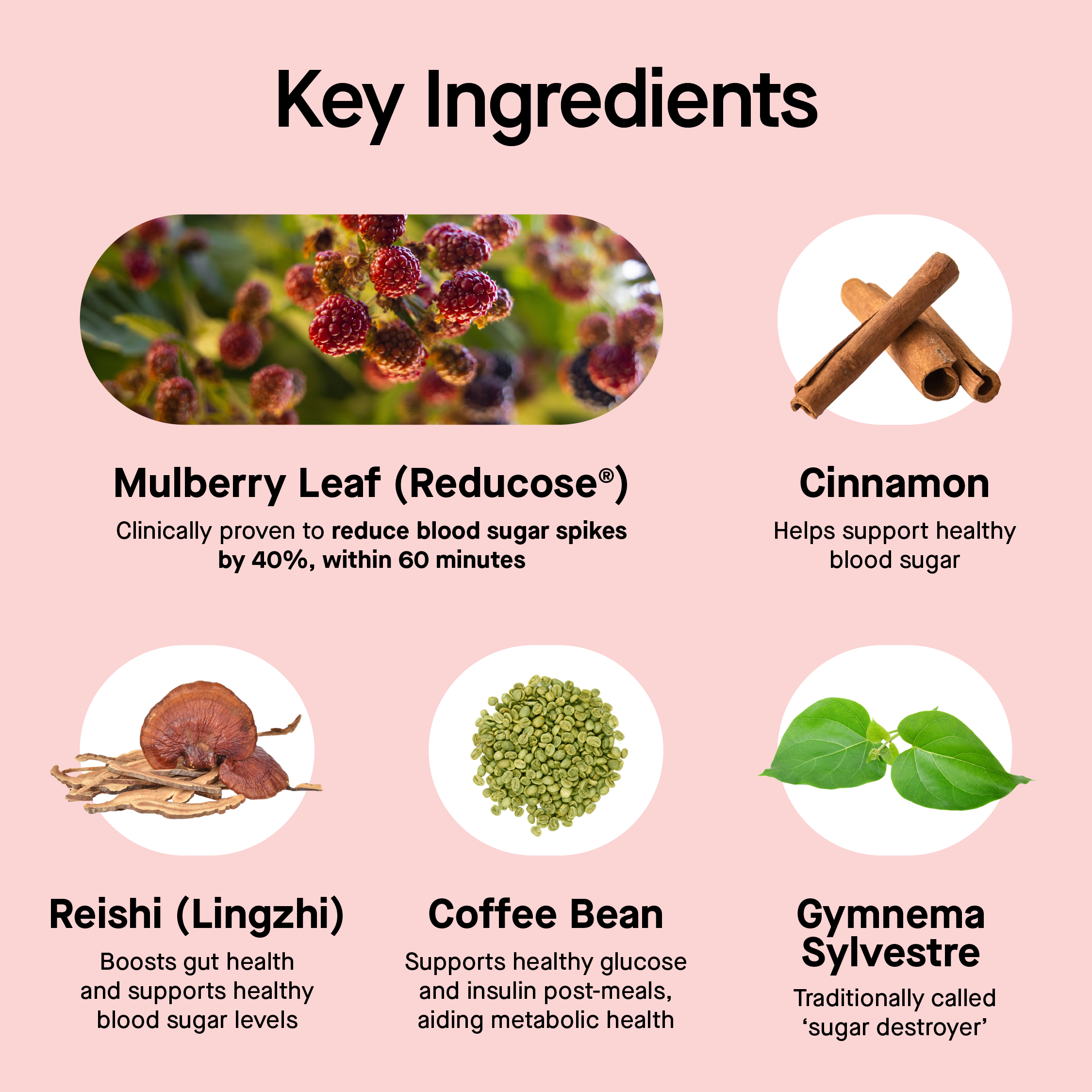 Moom Health™ meta/boost Supplement, For Metabolism, Burn Belly Fat ...