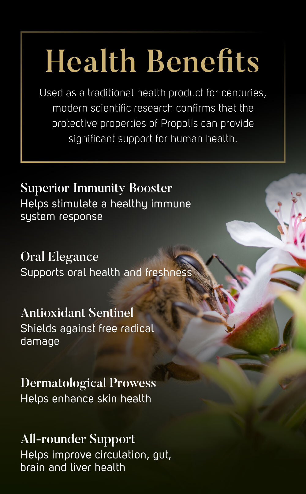 Manuka South UMF 15 Manuka Honey+Propolis Drops Lozenges for Cough Flu ...