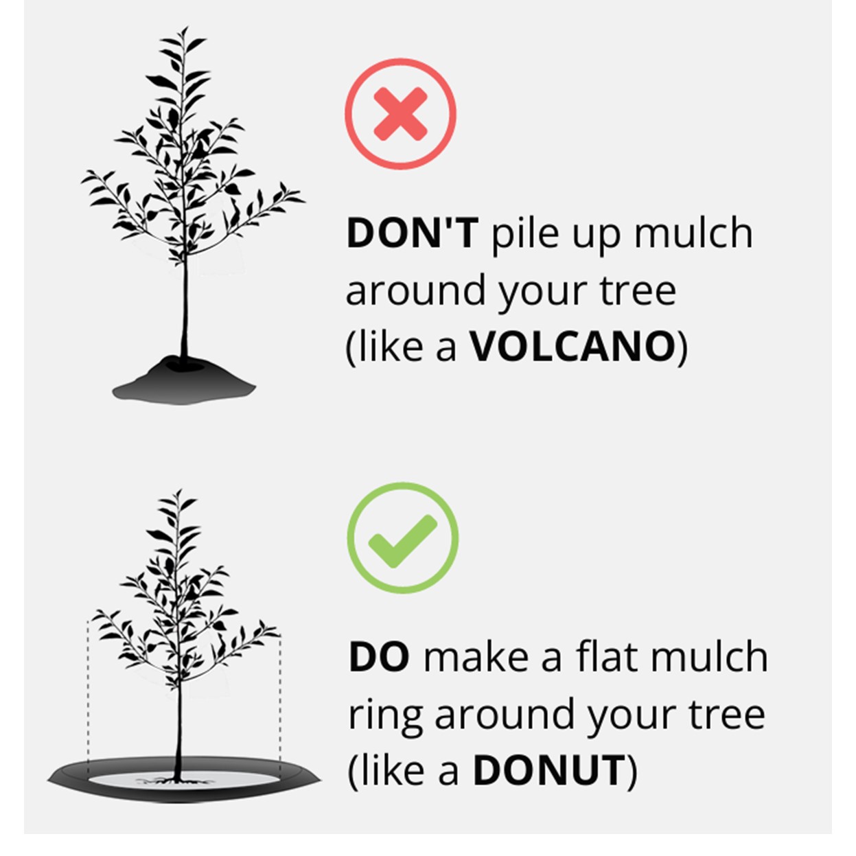 BetterFly 4kg [10L] Black Soldier Fly Organic FRASS Fertiliser ...