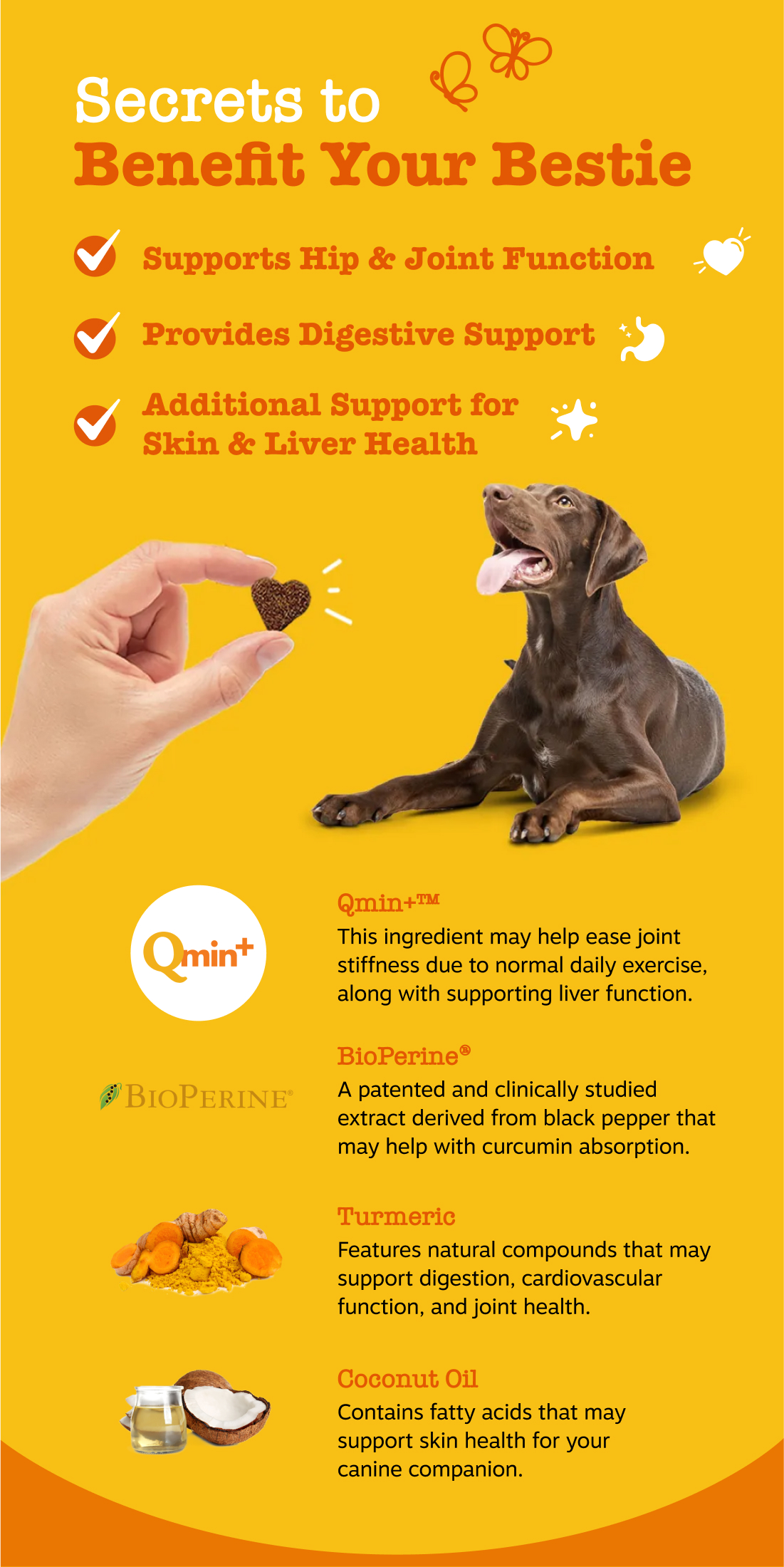 Zesty Paws Turmeric Curcumin Bites for Dogs - Bacon Flavor (90 Soft ...
