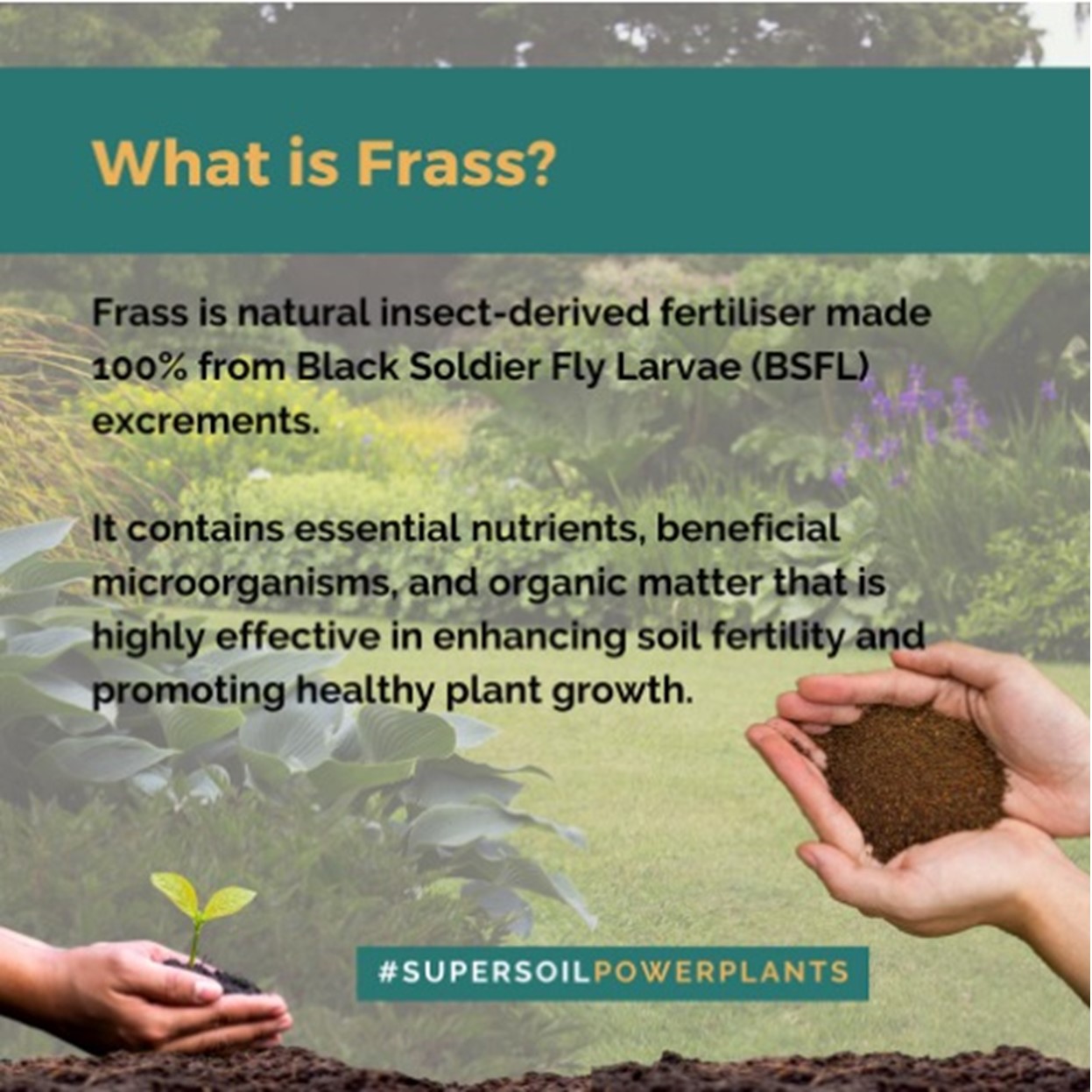 BetterFly 4kg [10L] Black Soldier Fly Organic FRASS Fertiliser ...