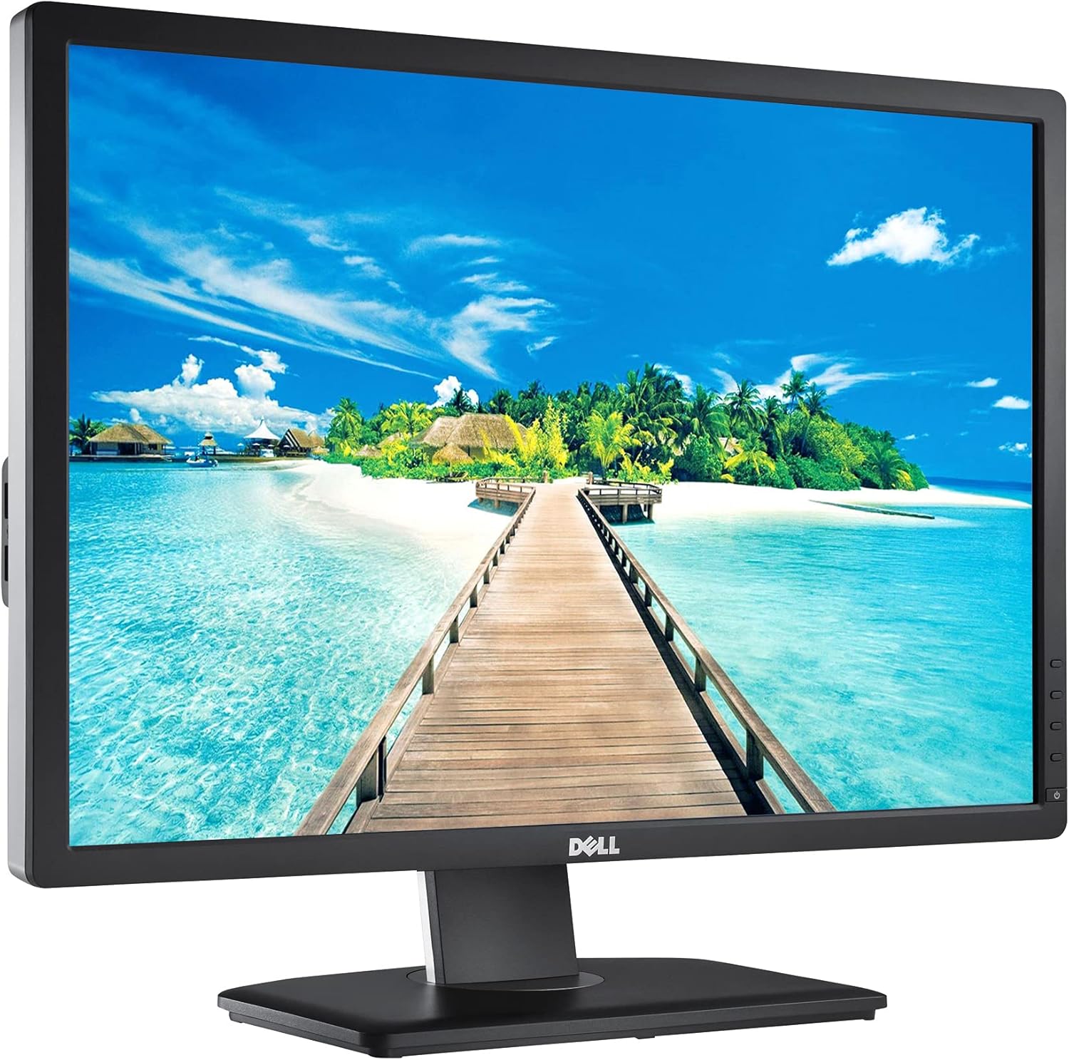Dell monitor 24 inch Full HD 1920x1200 monitor DP VGA DVI port ...