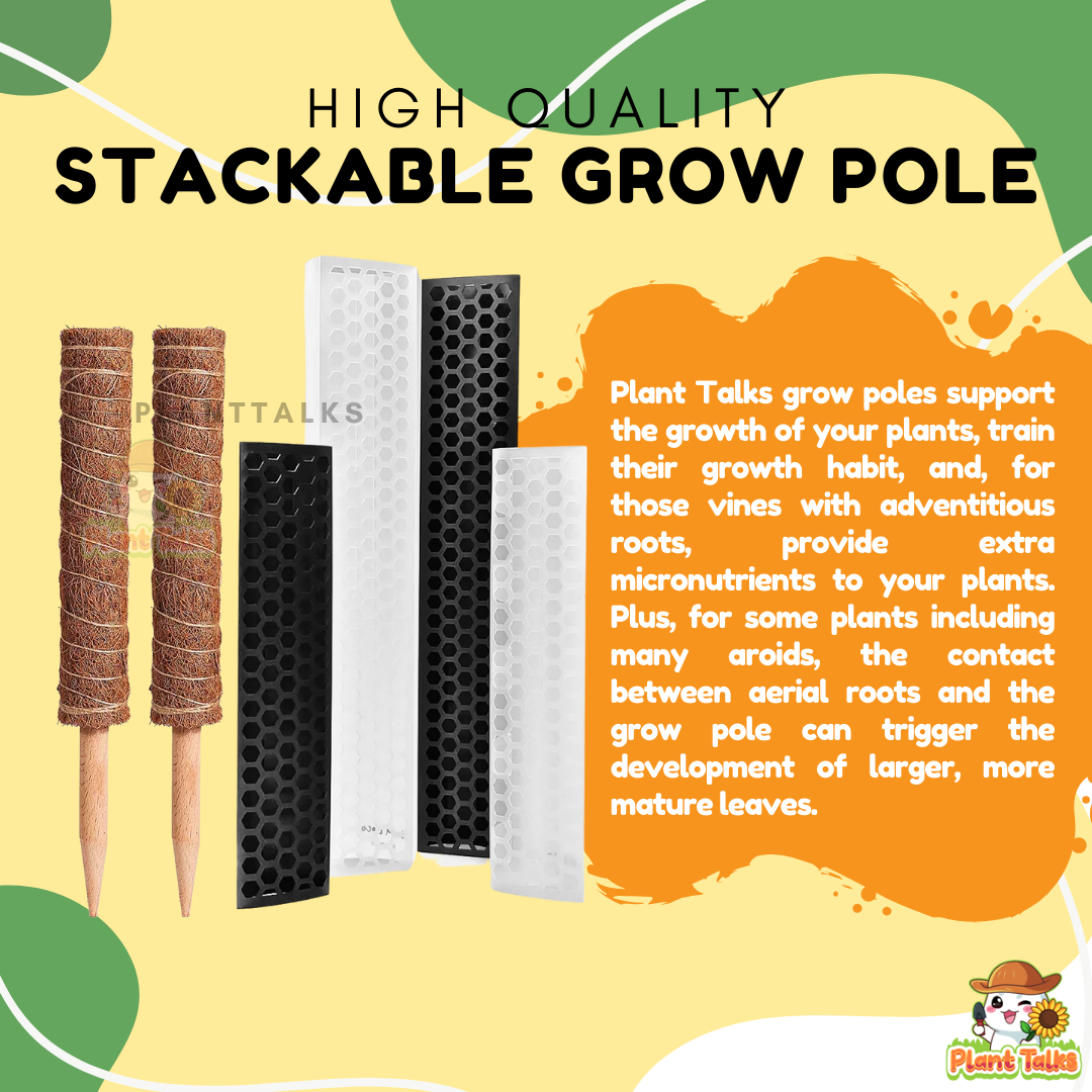 Plant Talks Coco Coir Grow Pole Honeycomb Moss Climbing Pole Plant ...
