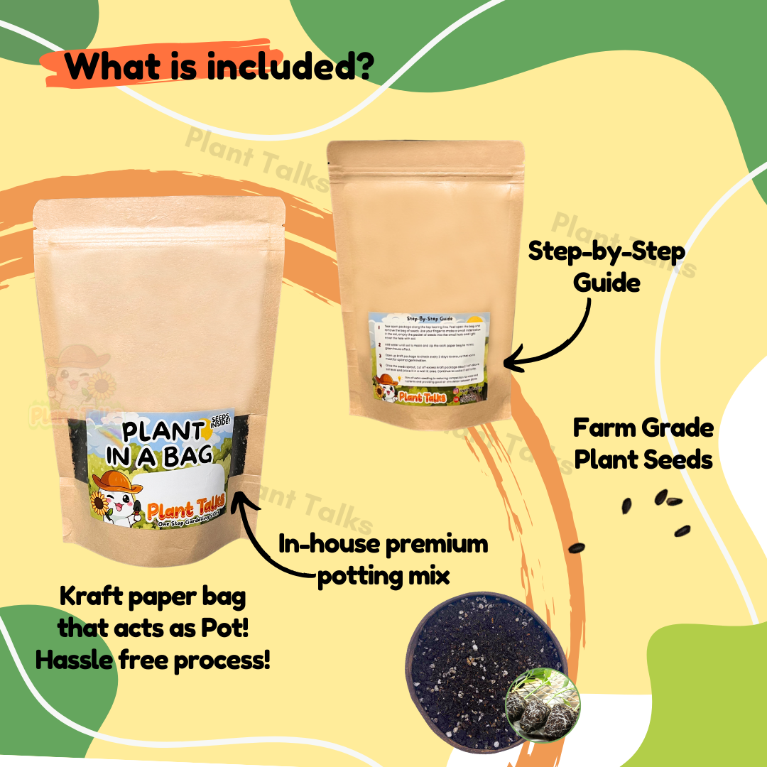 Plant Talks Plant Starter Kit DIY Childrens Day Plant Kit Grow Herbs ...