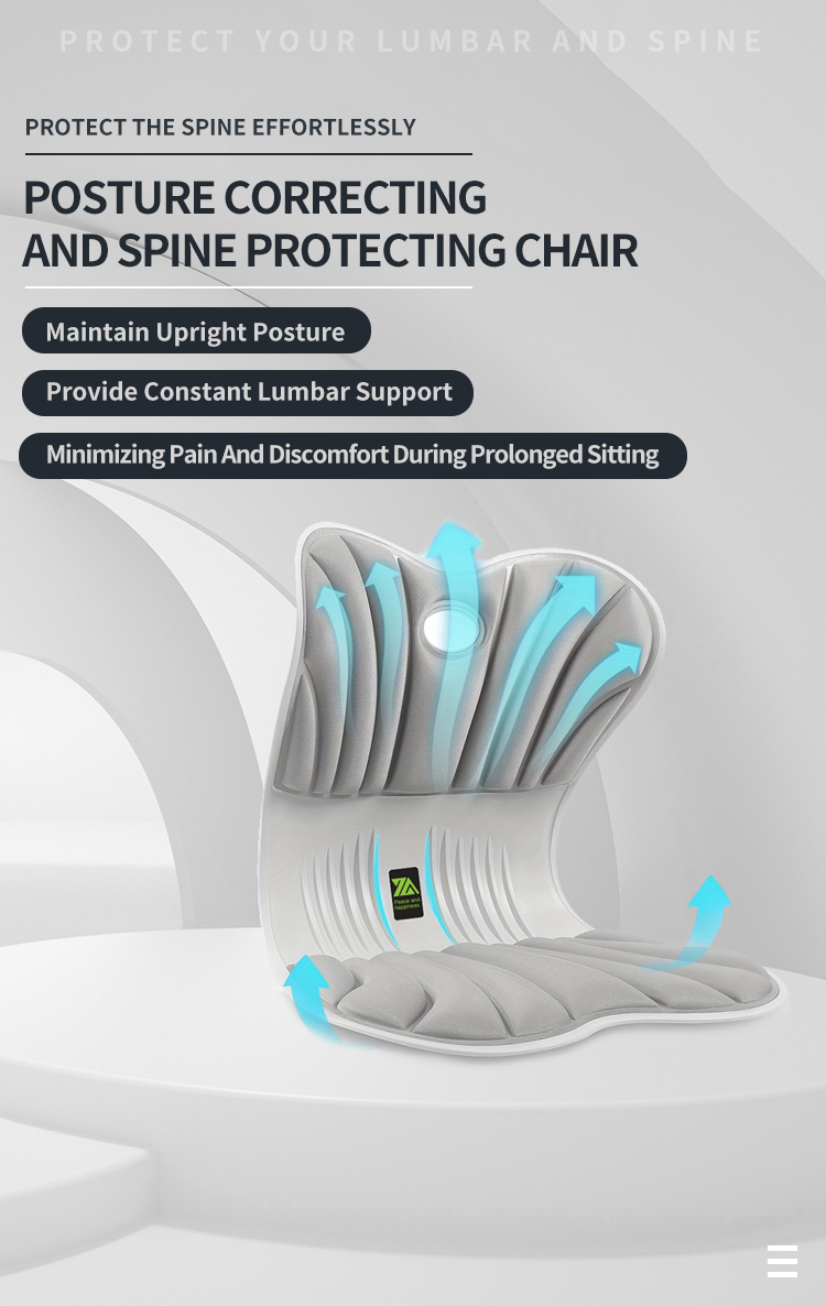 Lemowell Posture Correction Chair Ergonomic Memory Foam Lumbar Support ...