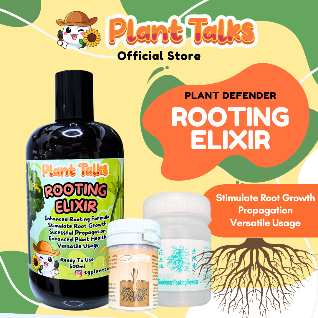 Premium Rooting Powder BEST IBA Rootmone Rooting Plant Hormone Roots ...