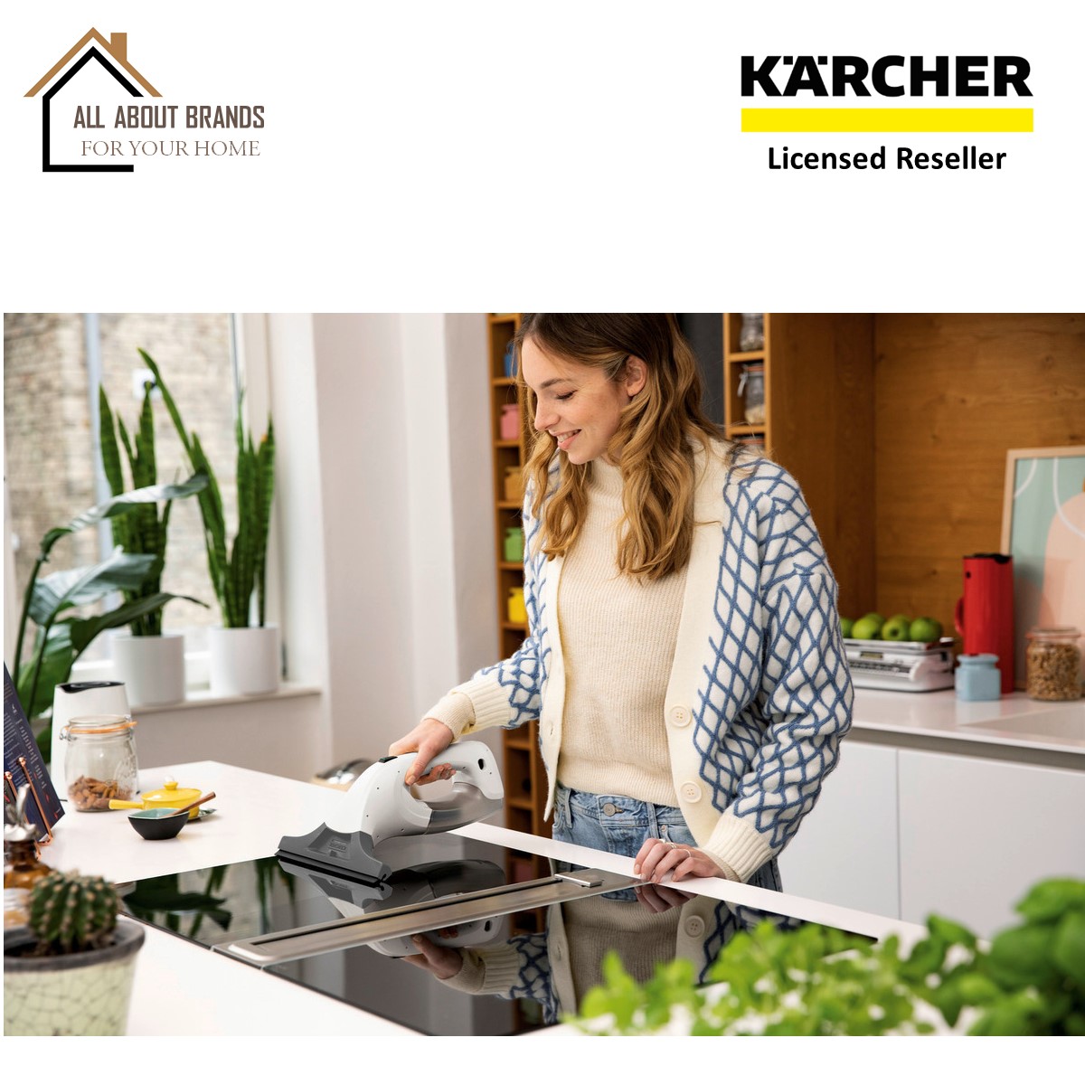 (Made in Europe) KARCHER WV 1 Plus Cordless Rechargeable Compact Window ...