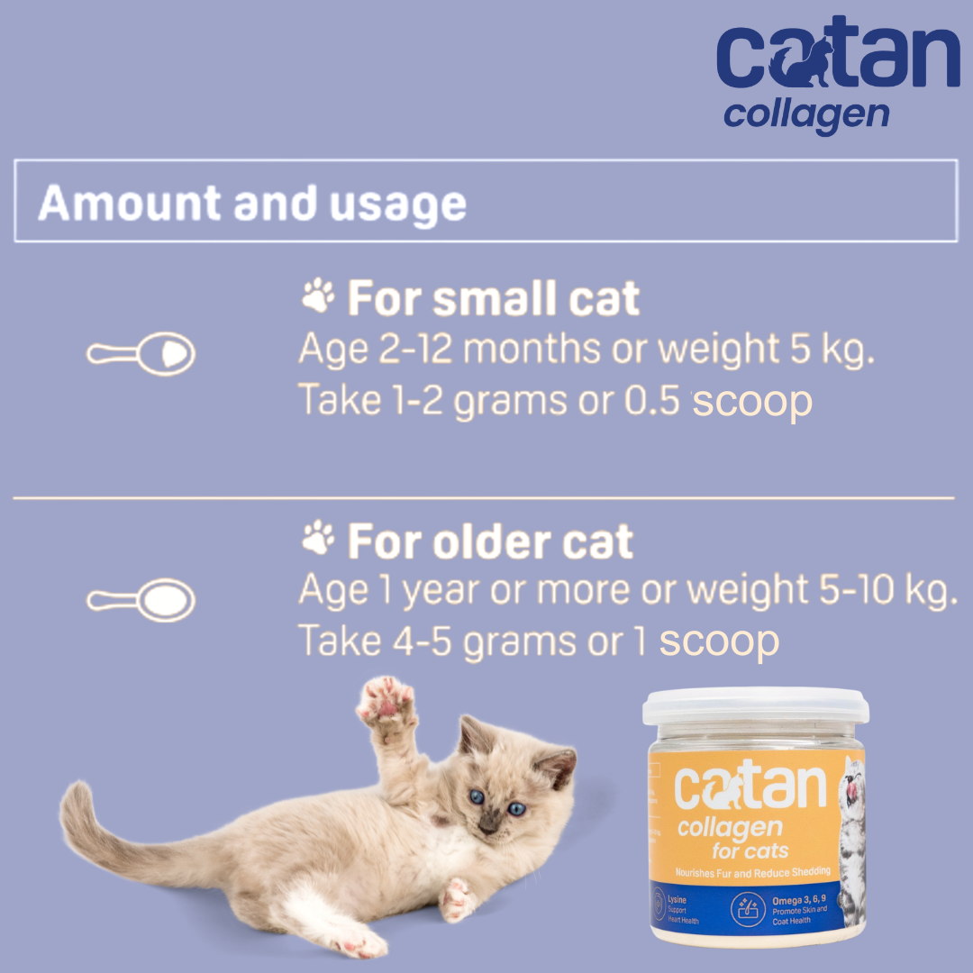 CATan Hydrolyzed Egg Powder for Cats - Collagen + Immunity ...