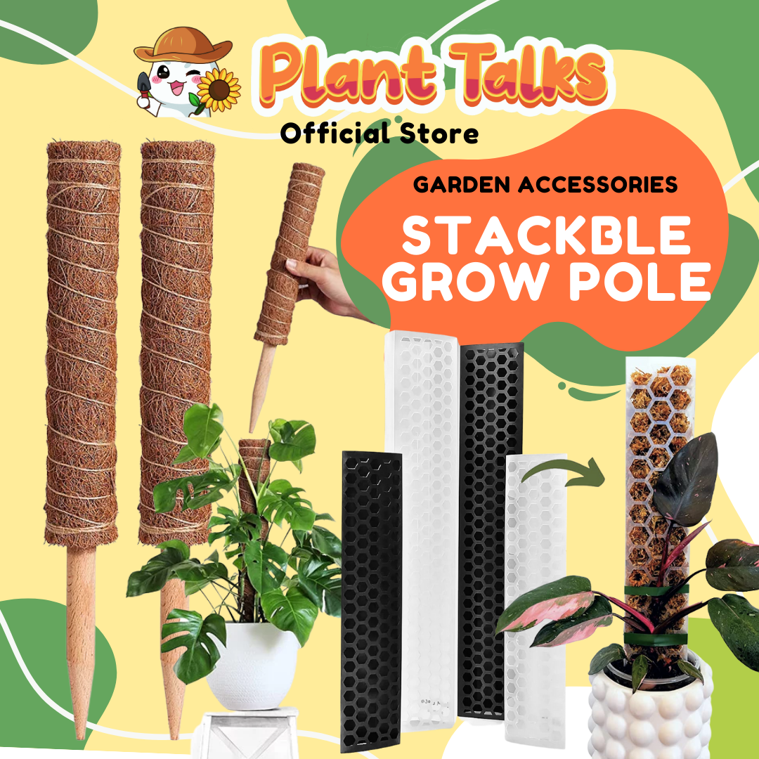 Plant Talks Coco Coir Grow Pole Honeycomb Moss Climbing Pole Plant ...