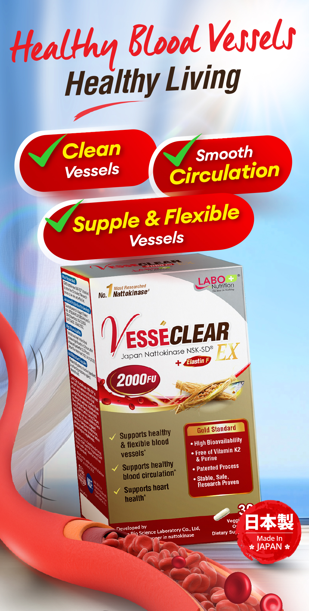 [2 Boxes] LABO Nutrition VesseCLEAR EX 2000FU Nattokinase - Clean Blood ...