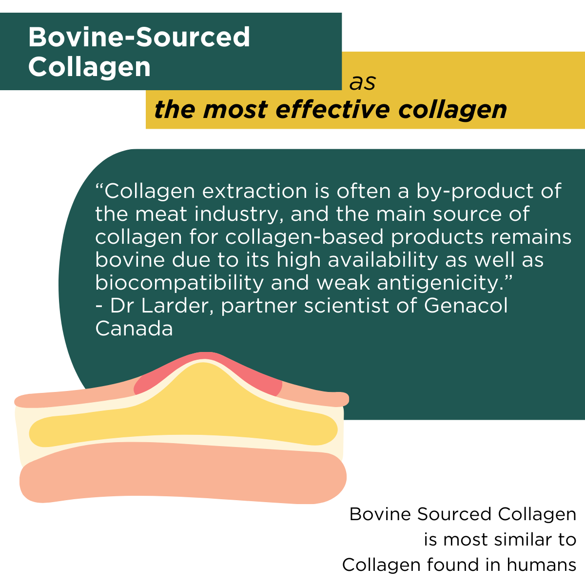 Genacol Bone & Joint - Ultra Hydrolysed Collagen + Calcium + Boron ...