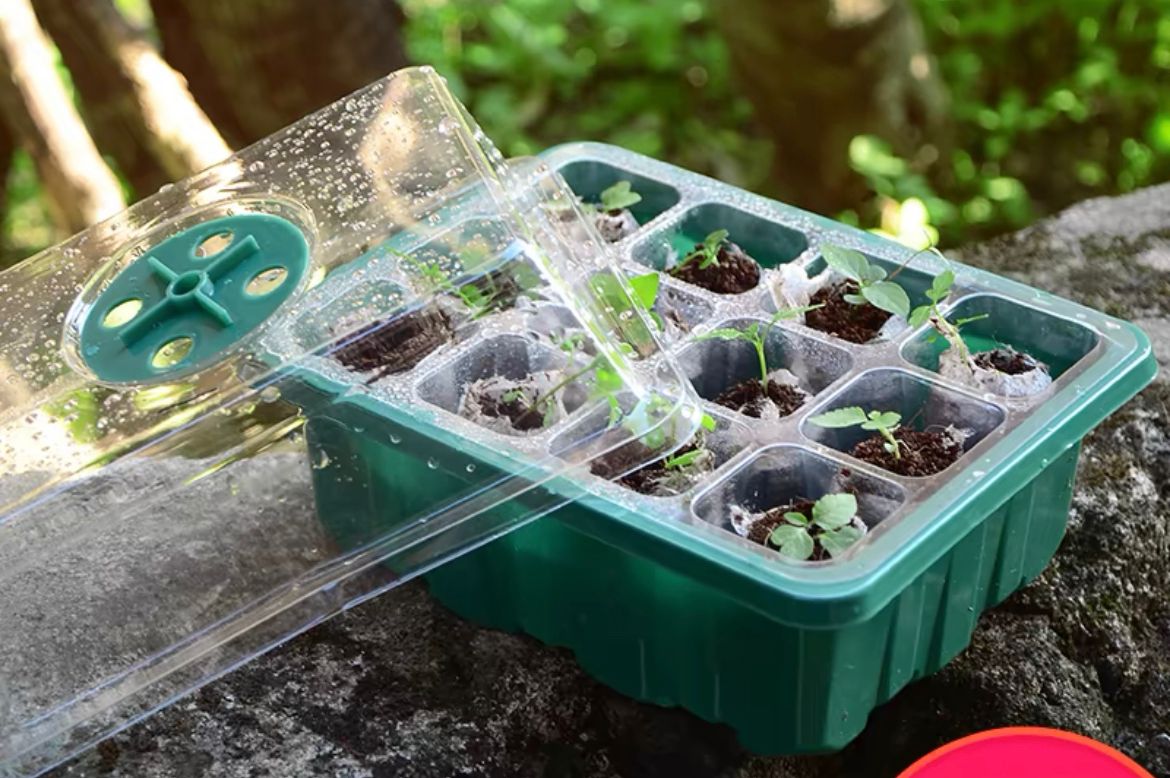 Plant Seed Seedling Tray Germination Starter Kit Seed Grow Box Plant ...