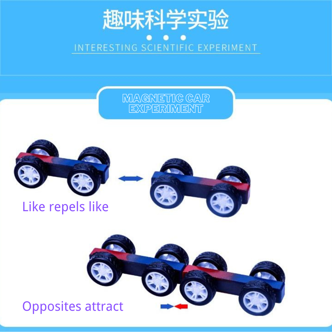 P4 Magnetic Science Experiment kit, STEM Teaching Aids, Magnet Set Box ...