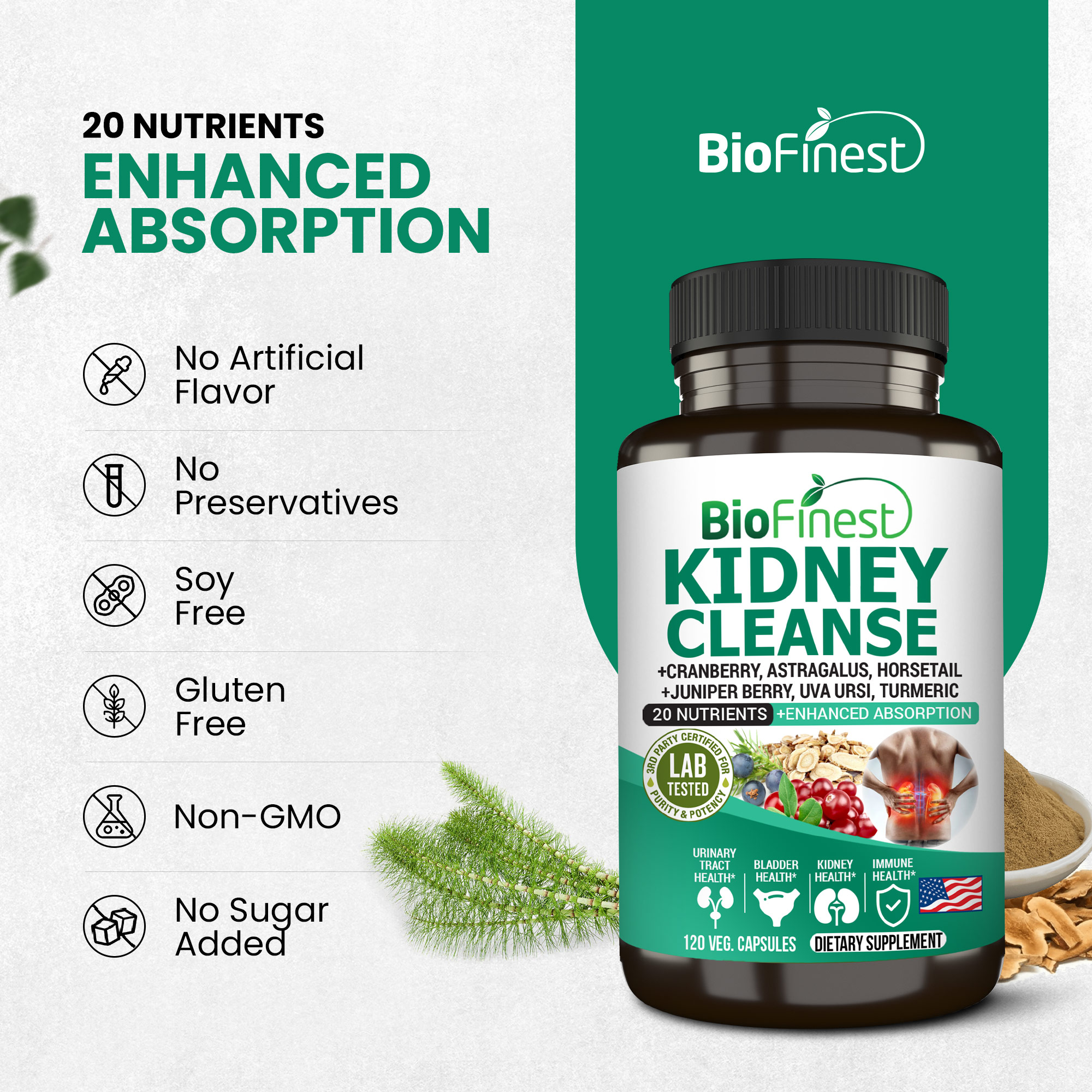 Biofinest Kidney Cleanse Supplement - Cranberry Astragalus - Kidney ...