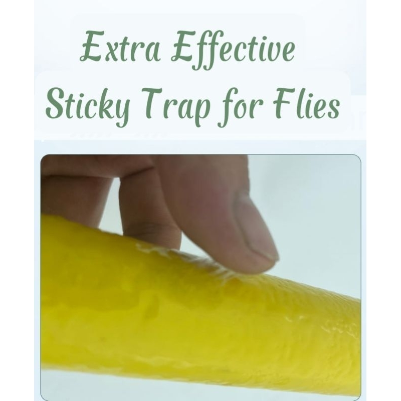 Authentic Super Sticky Fly Stick Trap for Indoors and Outdoor Non-Toxic ...
