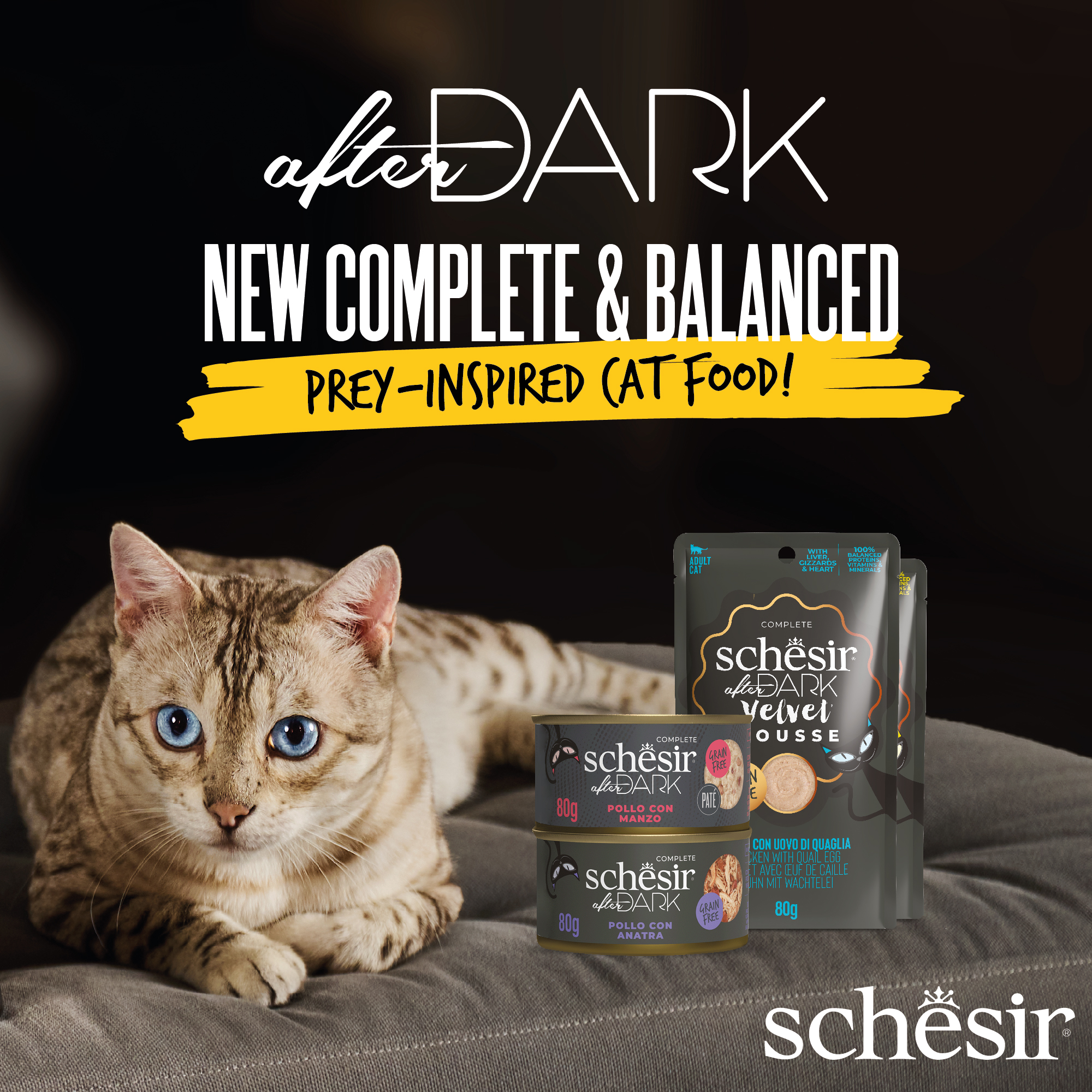 Schesir After Dark Complete and Balanced Wet Food for Adult Cats 80g - Balanced Proteins ...