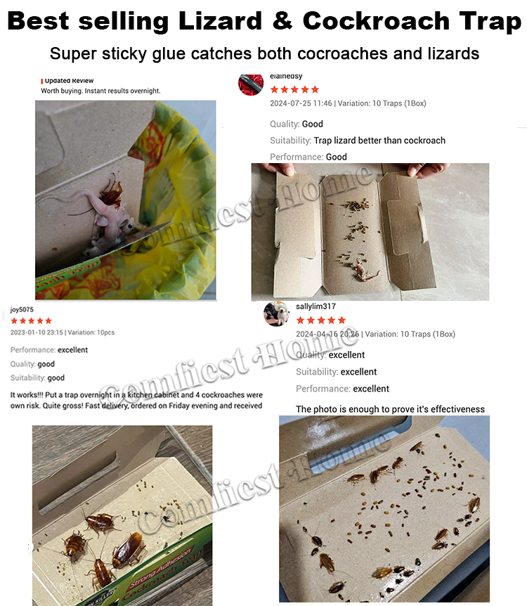 [SG Stock]10 Traps Cockroach Trap Lizard Mouse Board Rat Glue Sticky ...