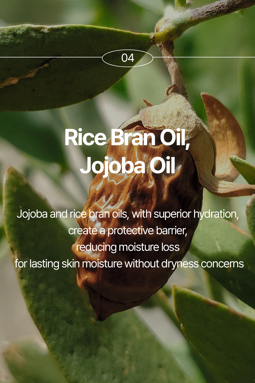 [Pyunkang Yul] Calming Deep Cleansing Bar, 100g | Shopee Singapore