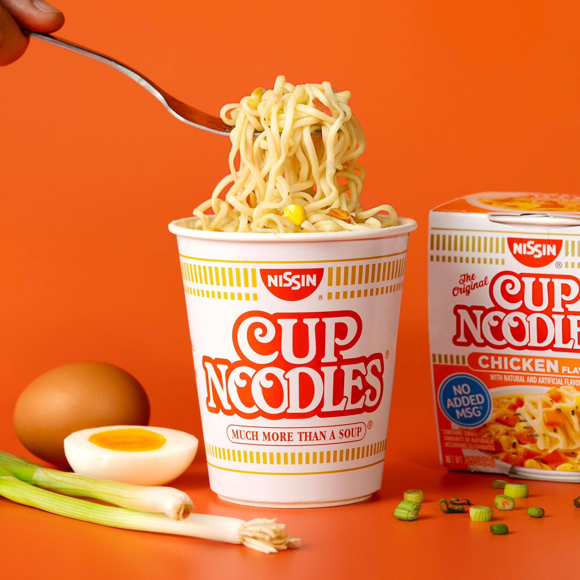 NISSIN CUP NOODLES Assorted Variants (75g) [SG] | Shopee Singapore
