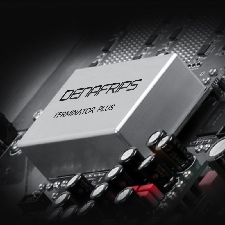 Denafrips Terminator 15th R2R DAC - AV One Authorised Dealer/Official ...