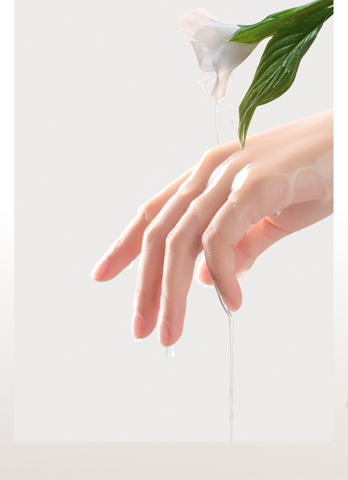 【Vainpot-SG】MR NAIL Nail Prep Solution and Cuticle Softener - 55ml ...