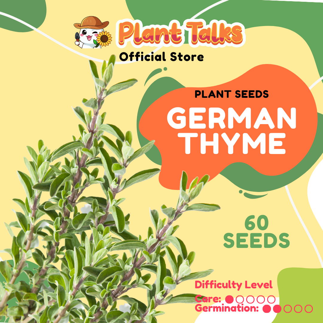 Plant Talks German Thyme Seed Organic Edible Herbs | Shopee Singapore