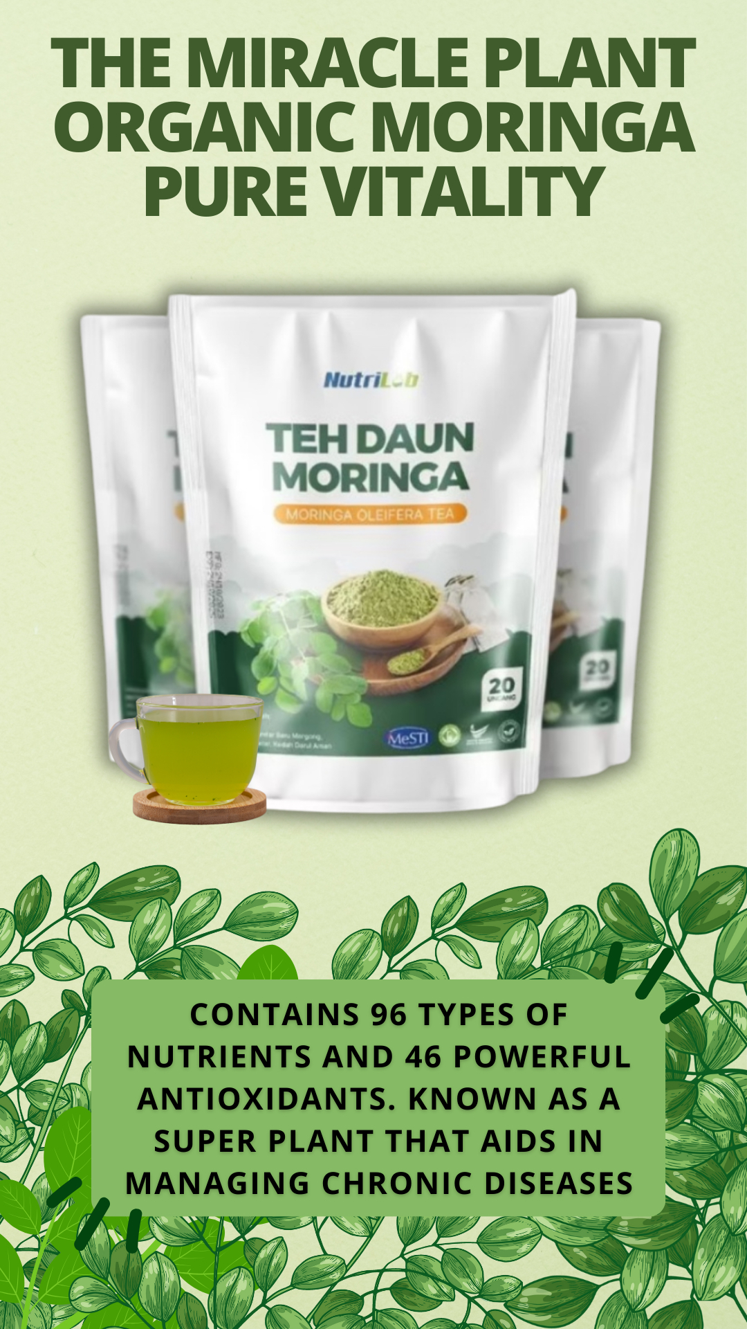 Pure Moringa Tea helps in Boosting Energy, Immunity and Alleviate ...