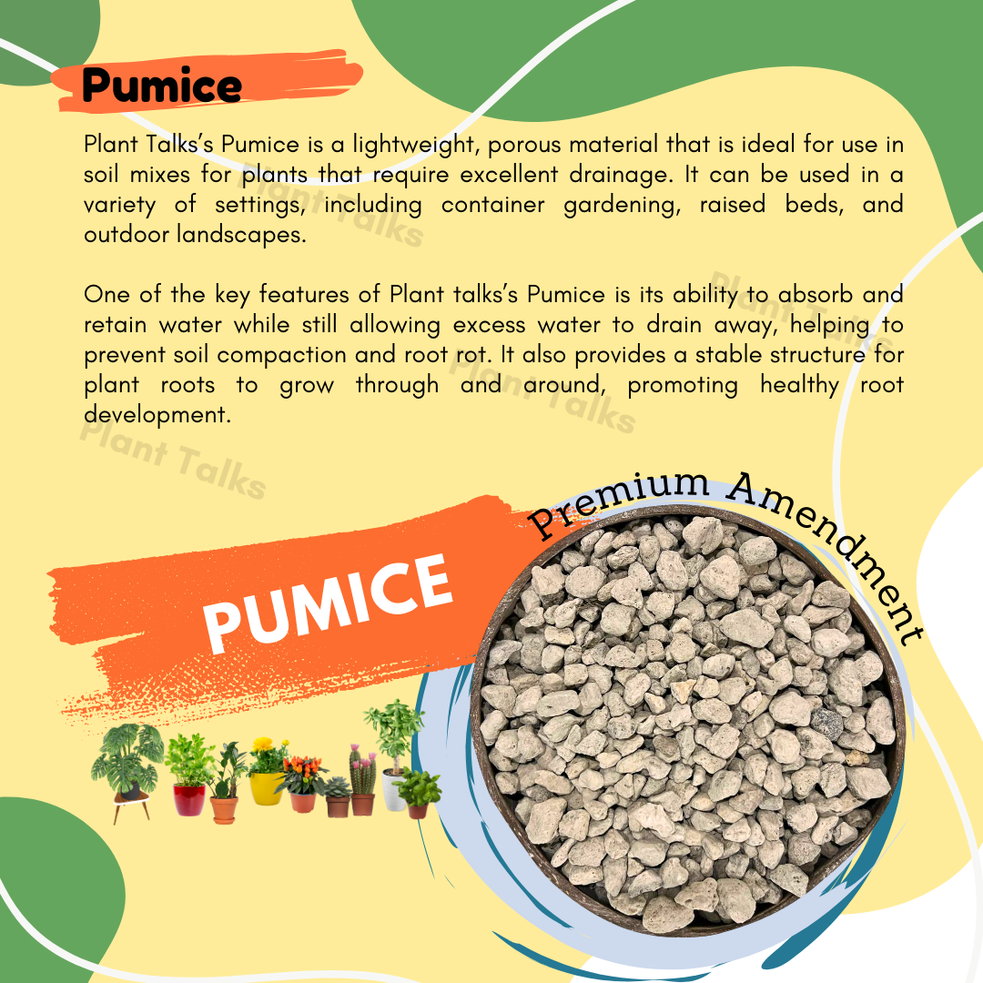 Plant Talks Pumice Stone for Soil Amendment Plants Mixing | Shopee ...