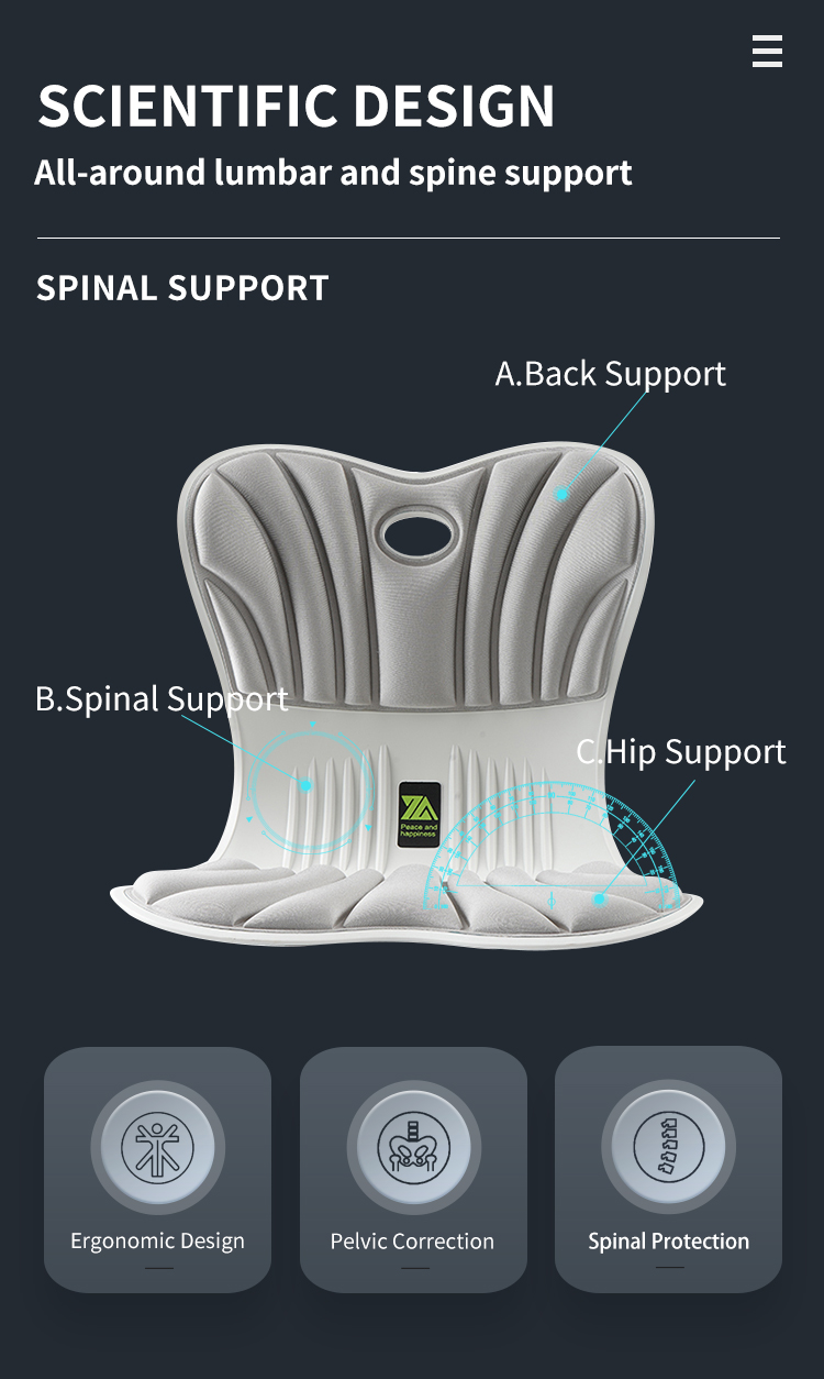 Lemowell Posture Correction Chair Ergonomic Memory Foam Lumbar Support ...