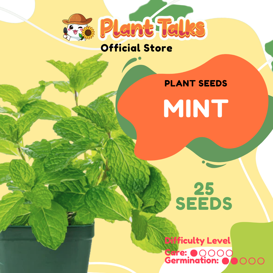 Plant Talks Mint Plant Seeds Menta Arvensis Seed Organic Edible Herbs ...