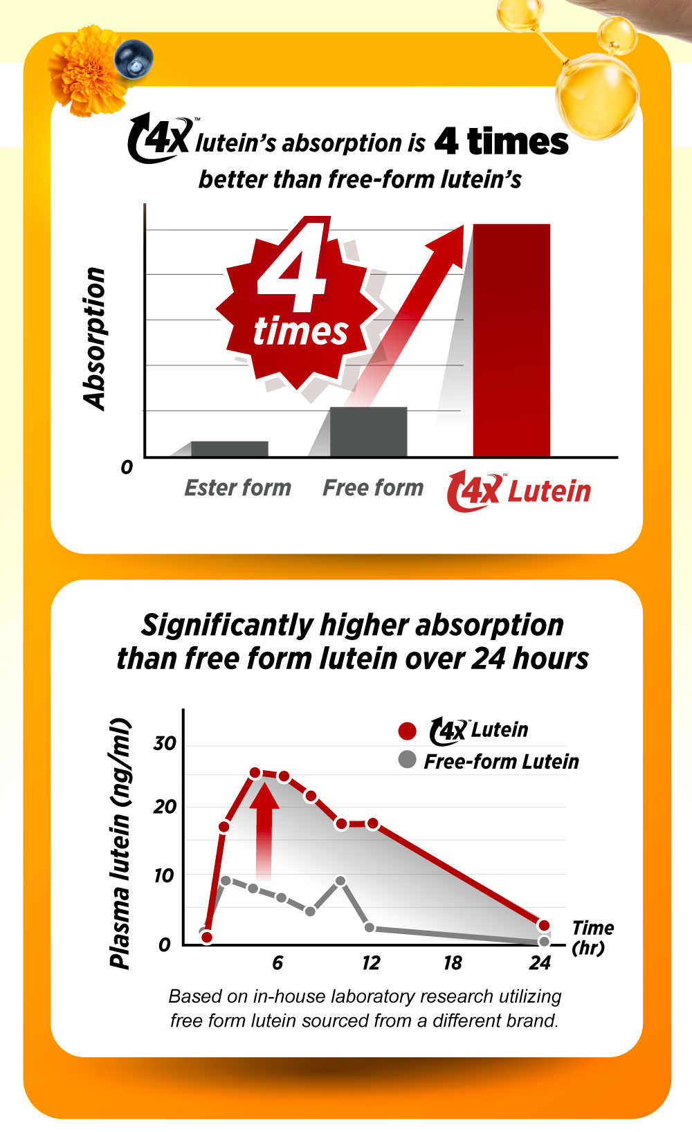 [NEW] AFC Ultimate Vision 4X Free Form Lutein 4X Eye Supplement for ...