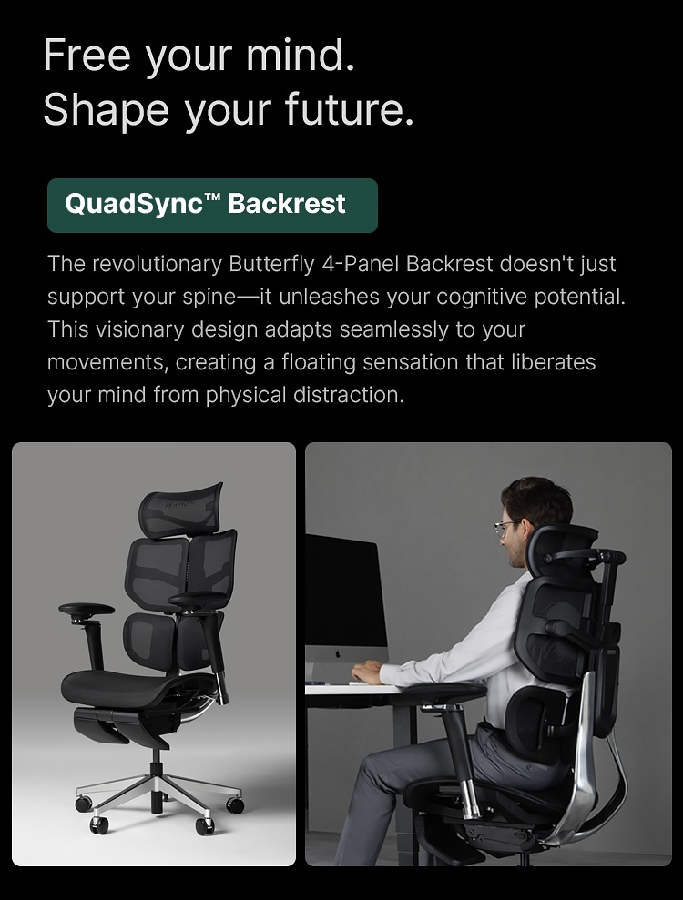 Hinomi X2 Pro Ergonomic Chair With 3D Back Support, Home Office Chair ...