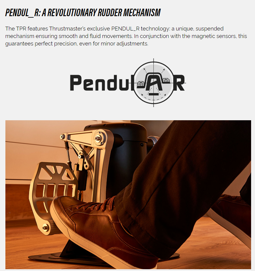 THRUSTMASTER PENDULAR RUDDER | Shopee Singapore