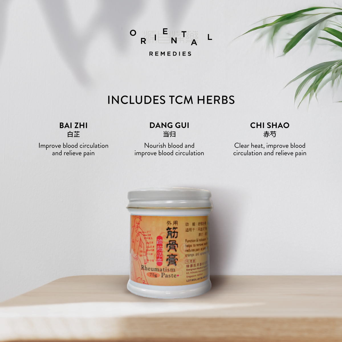 [Evergreen] TCM Rheumatism Paste 筋骨膏 – 消肿止痛 Pain Relief, Blood ...