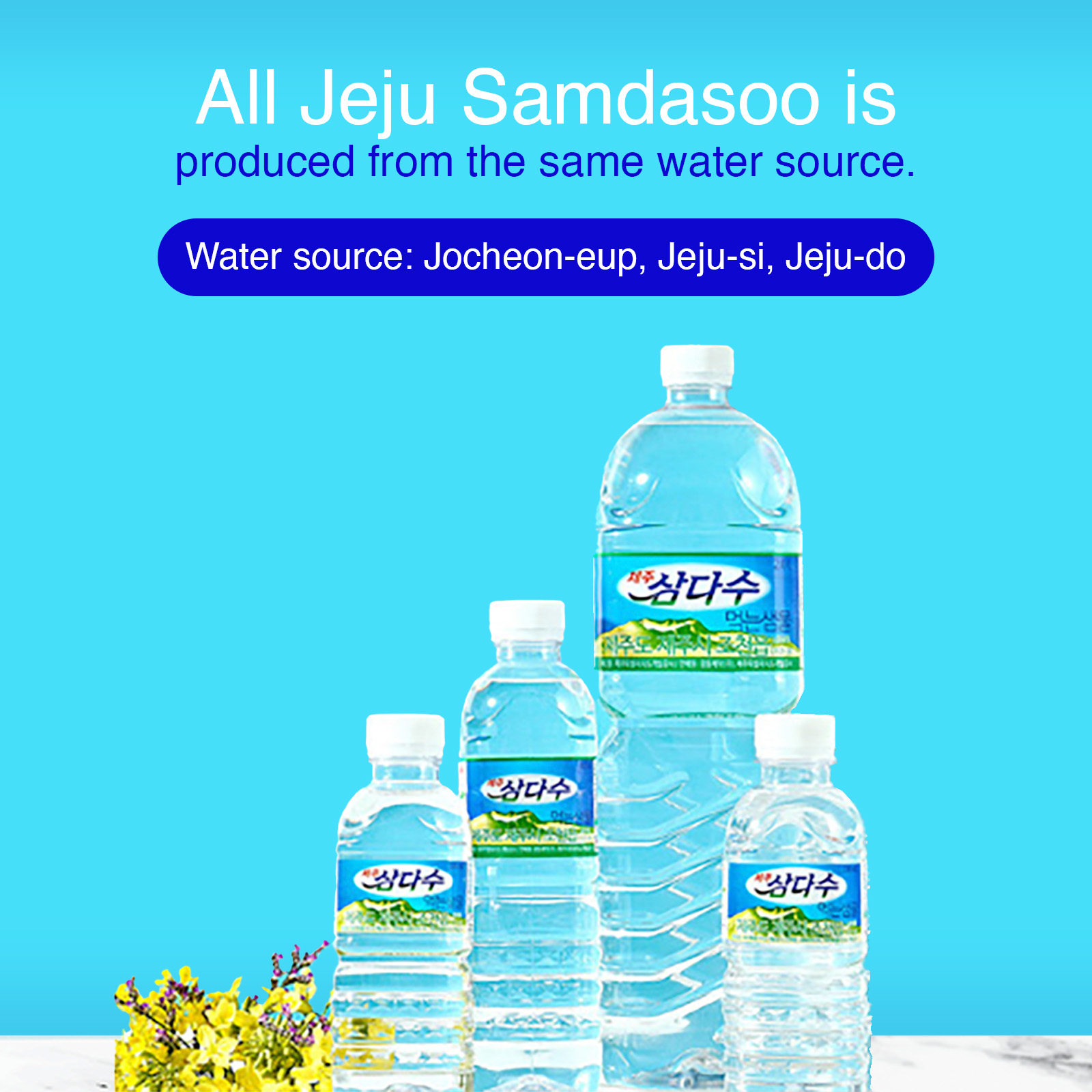 [SAMDASOO] Jeju Samdasoo Natural Korean Mineral Water - 2L | Shopee ...