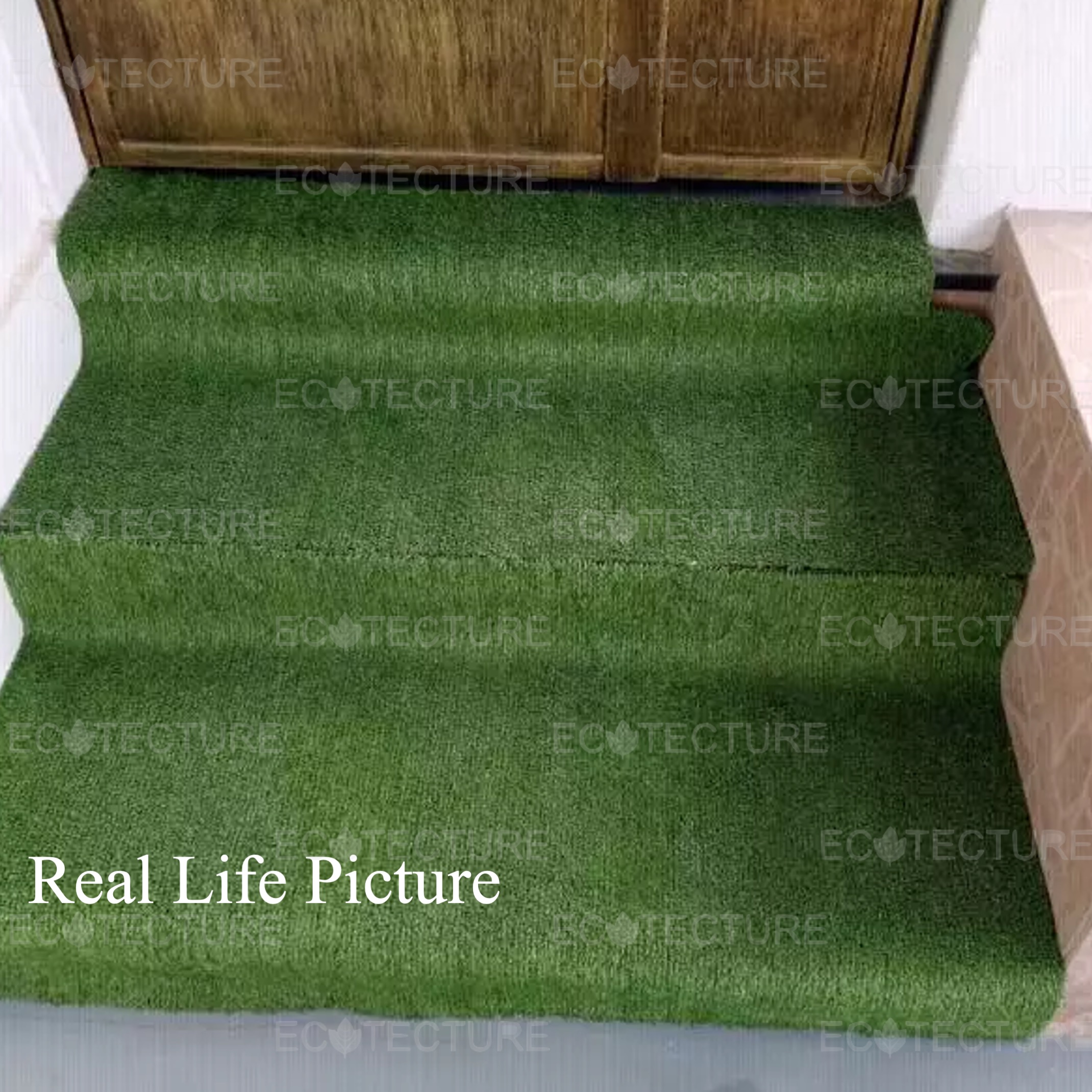 BTO HDB Grass Carpet Entrance Mat Event Carpet Artificial Grass Door ...
