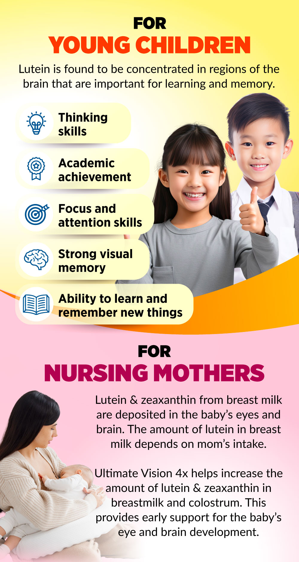 [3 Boxes] NEW - AFC Ultimate Vision 4X Free Form Lutein 4X Eye ...