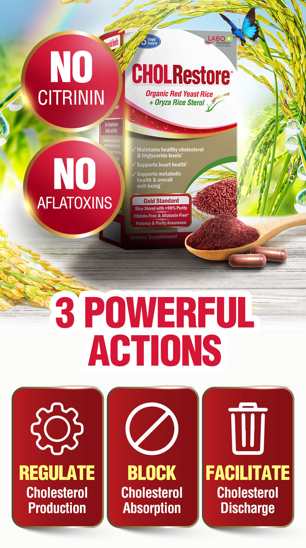 [3 Boxes] LABO Nutrition CHOLRestore Red Yeast Rice - Cholesterol ...