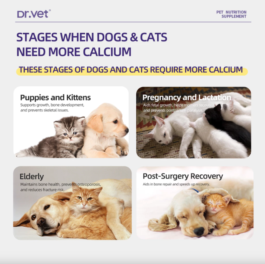 (Dr.Vet by PETKIT) Pet Calcium Tablets For Cats And Dogs (200 Tablets ...