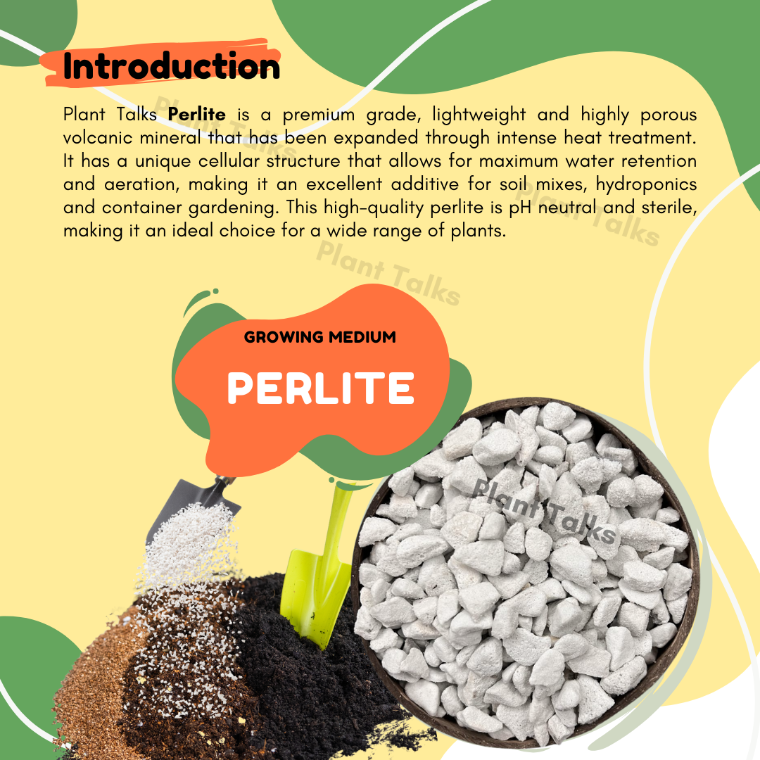 Plant Talks Perlite for Soil Amendment Plant Soil | Shopee Singapore