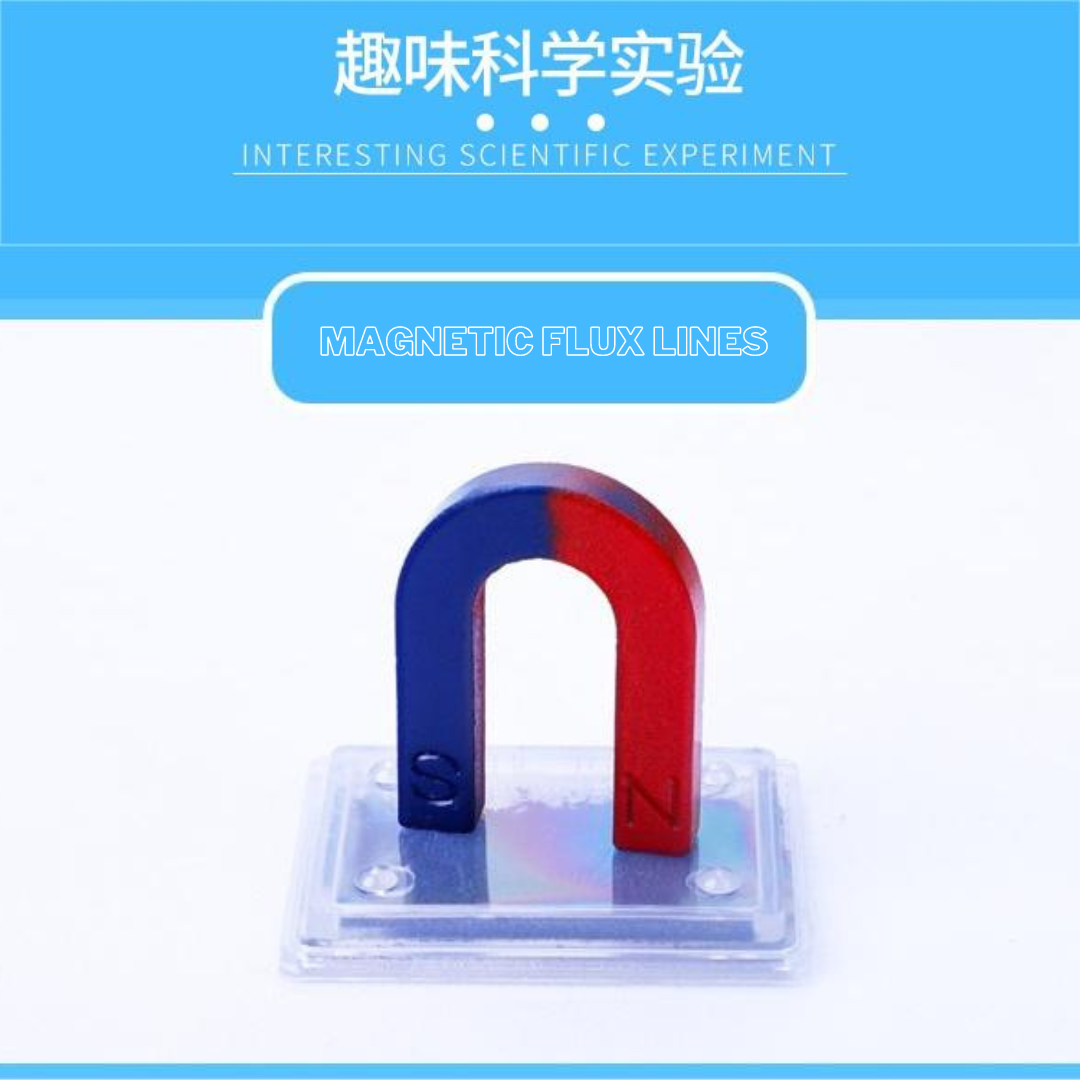 Magnetism Kit - P4 Science Experiment Set, STEM Teaching Aids, Magnet ...