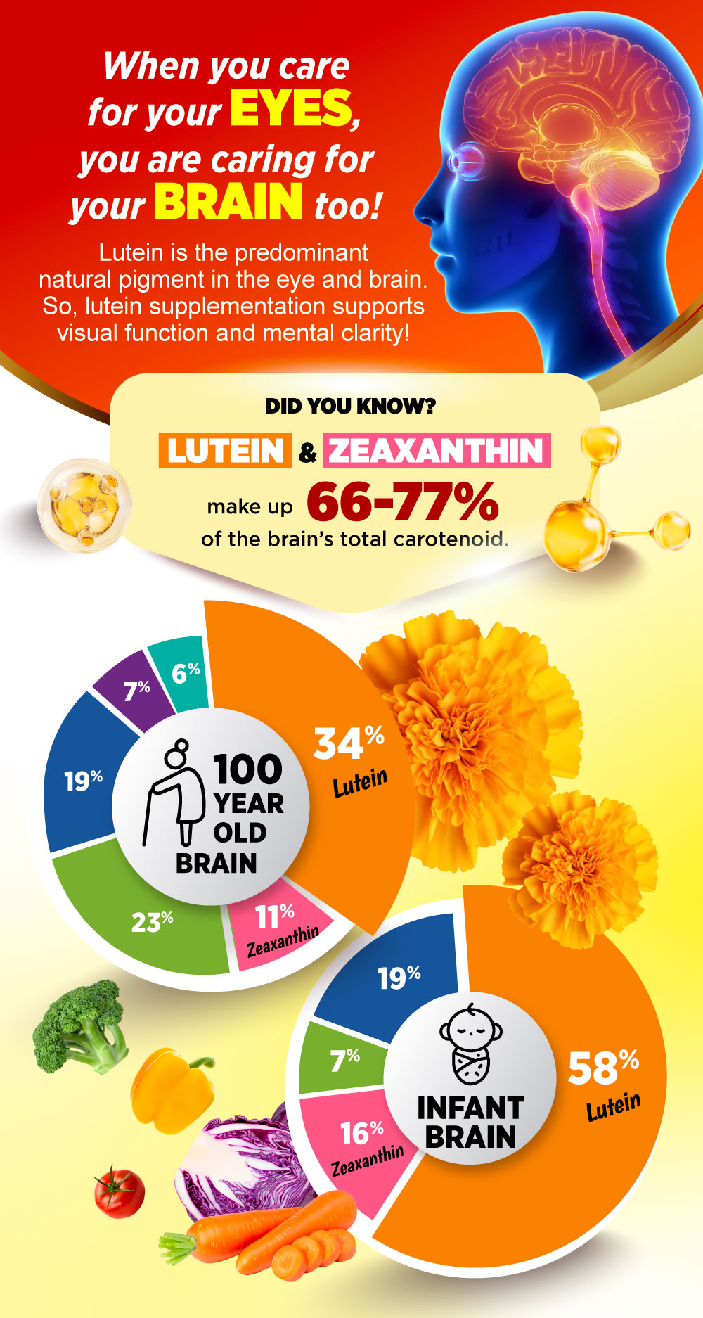 [NEW] AFC Ultimate Vision 4X Free Form Lutein 4X Eye Supplement for ...
