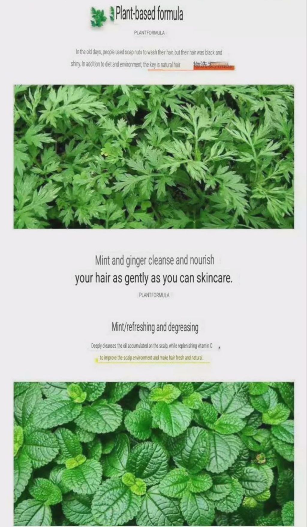 🇸🇬LOCAL SELLER 🇸🇬 QIAO FU LI AICAO Woodworm Sea Salt Shampoo Herbal ...